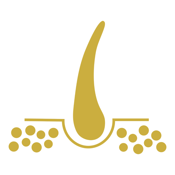 Dandruff - Derma 360